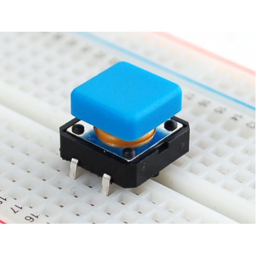 Push Button Switch 12mm With Square Cap at MG Super Labs India
